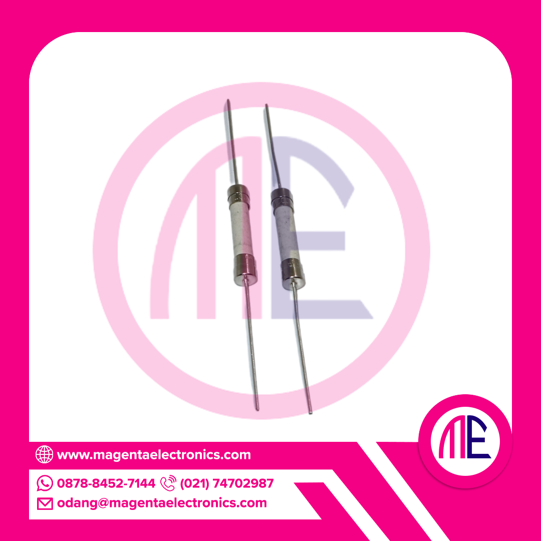 30A 500V DIP FUSE CERAMIC (L= 3.3 cm W= 0.6 cm) - Magenta Electronics